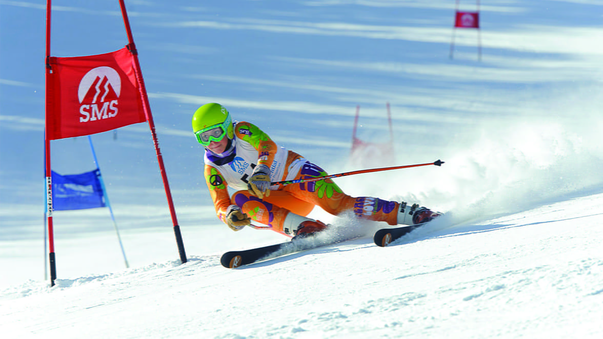 Community information for Stratton Mountain Vermont